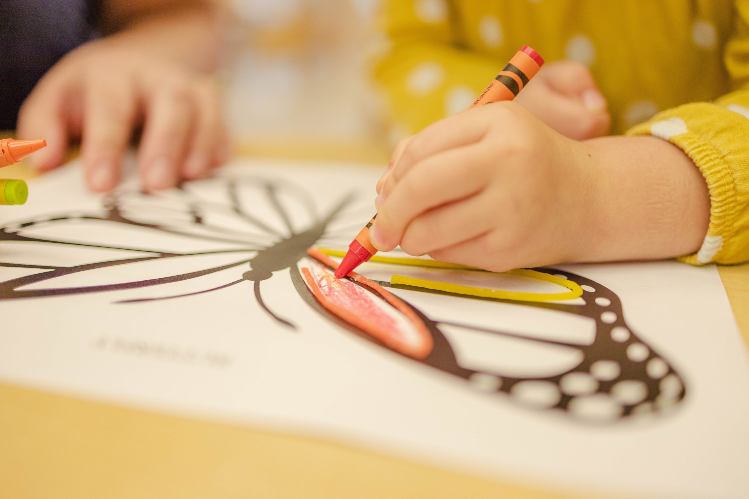 What’s Evidence-Based Curriculum and Why Does It Matter? | One Place